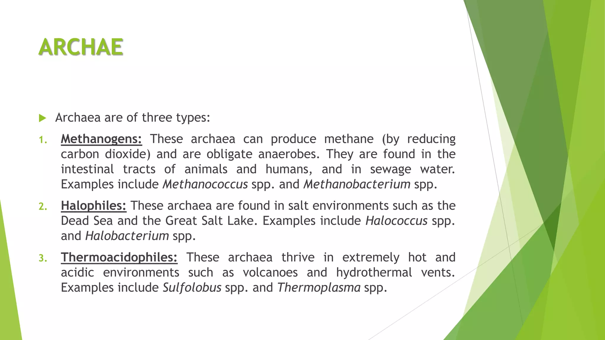 Types of Bacteria | PDF