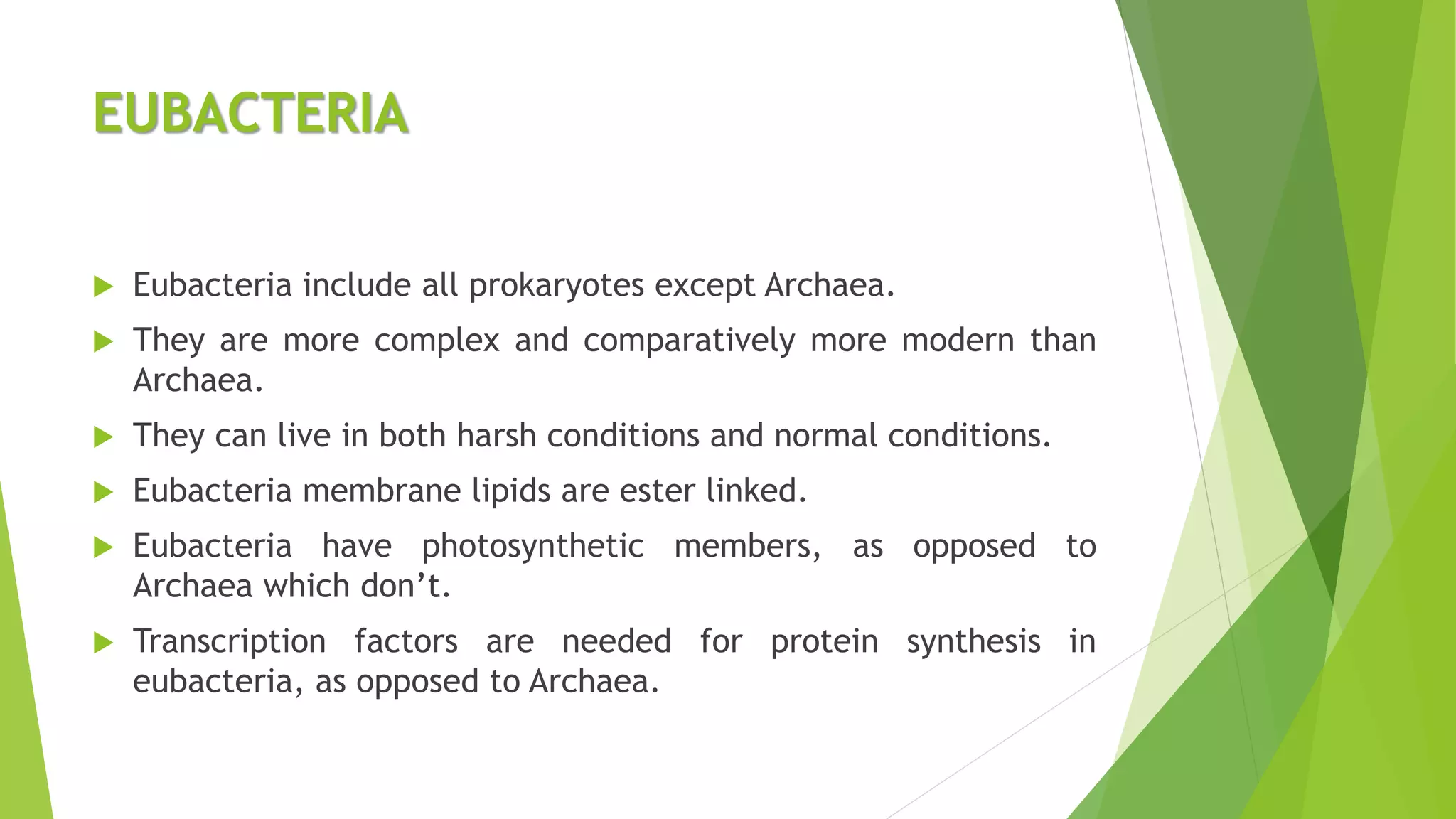 Types of Bacteria | PDF