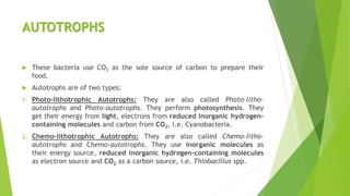 Types of Bacteria | PDF
