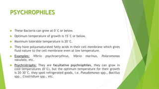 Types of Bacteria | PDF