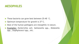 Types of Bacteria | PDF