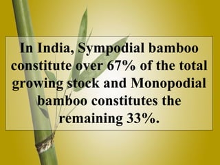Types Of Bamboo | PPT