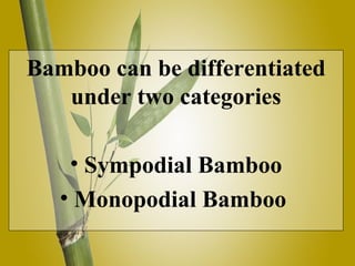 Types Of Bamboo | PPT