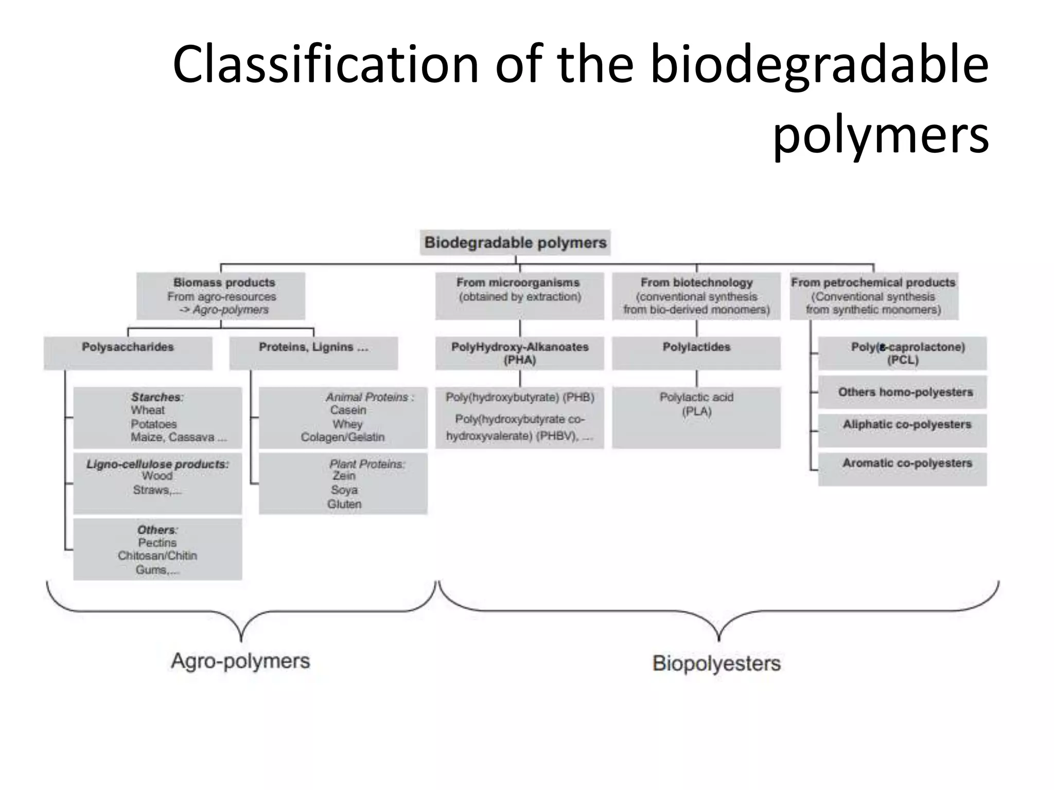Types of Biodegradable Polymers.pptx