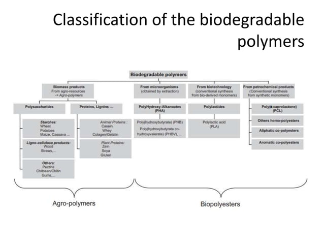 Types of Biodegradable Polymers.pptx