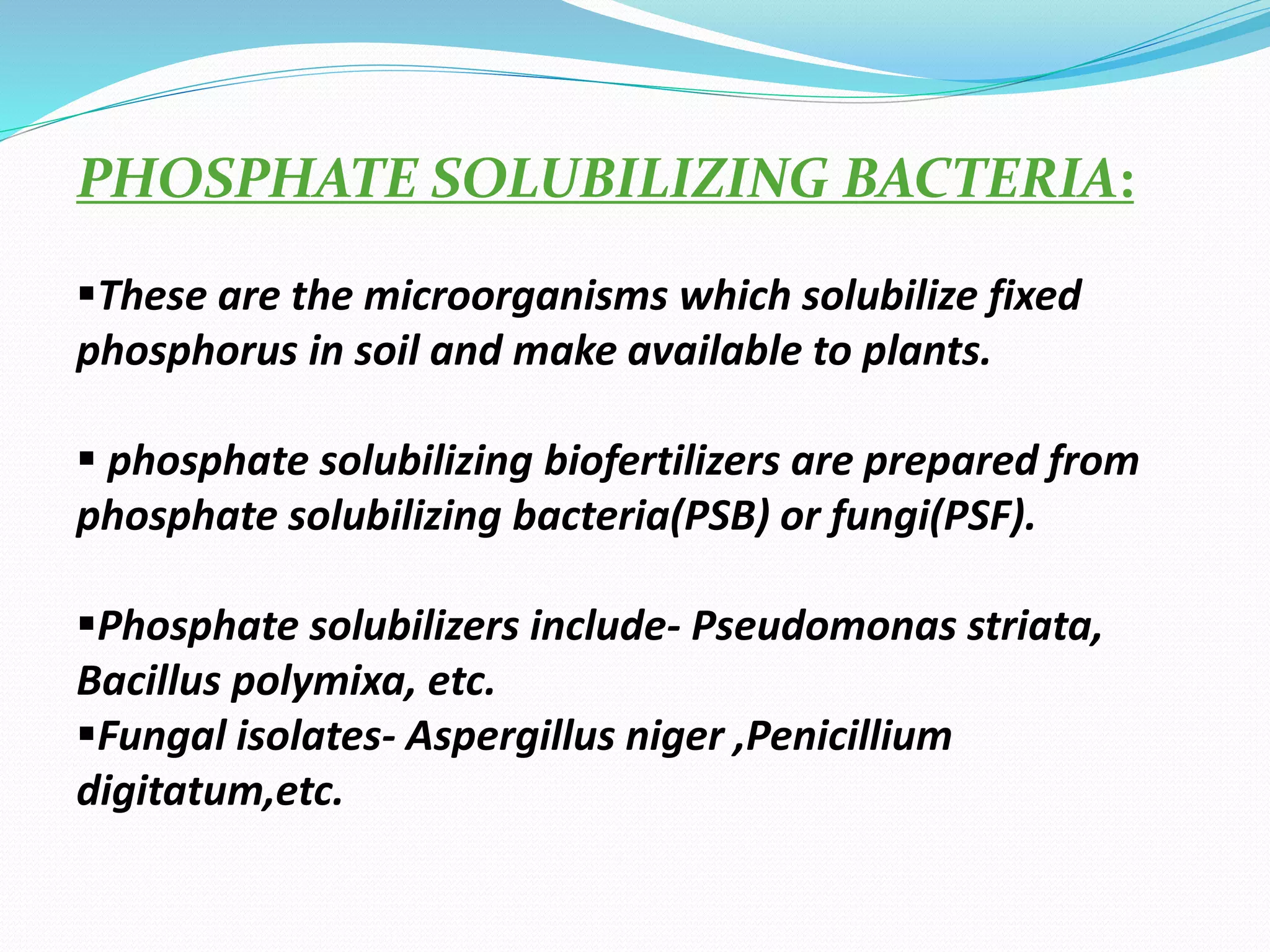 Types of biofertilizers | PPTX