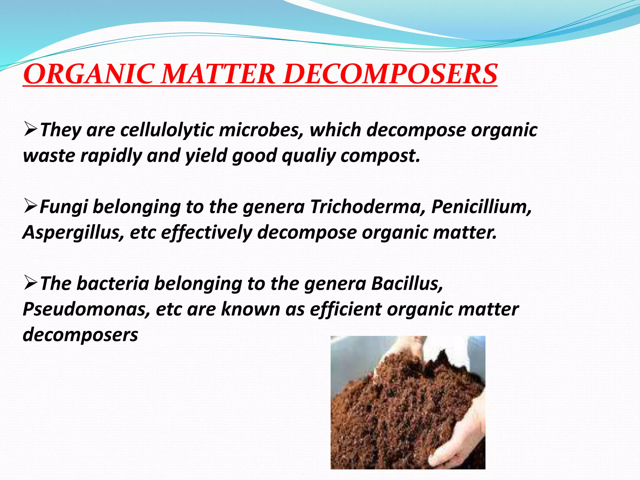 Types of biofertilizers | PPTX