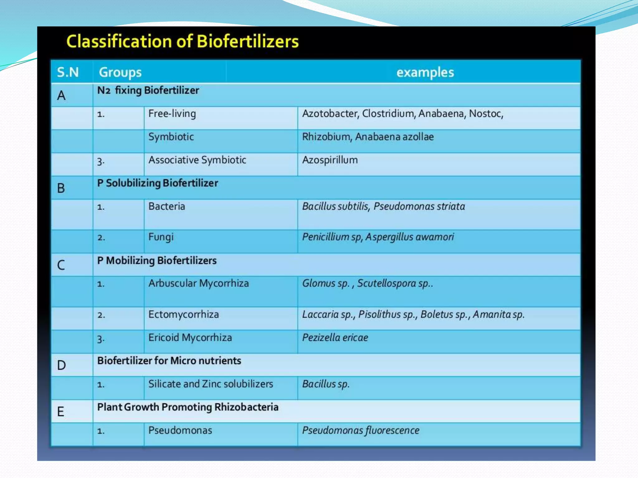 Types of biofertilizers | PPTX