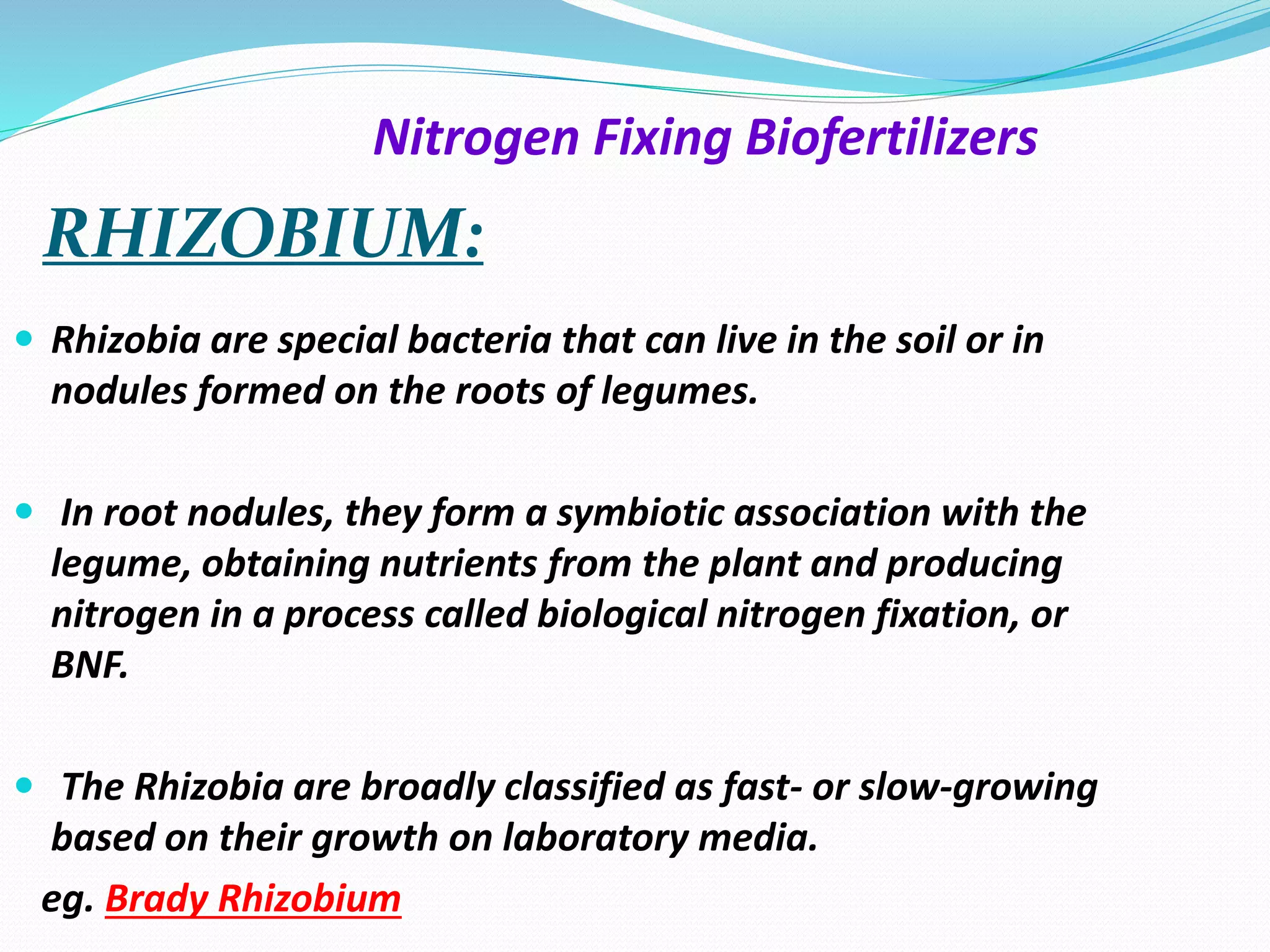 Types of biofertilizers | PPTX