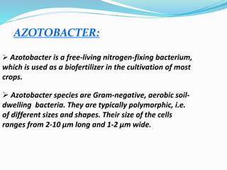 Types of biofertilizers | PPTX