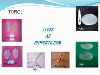 Types of biofertilizers | PPTX