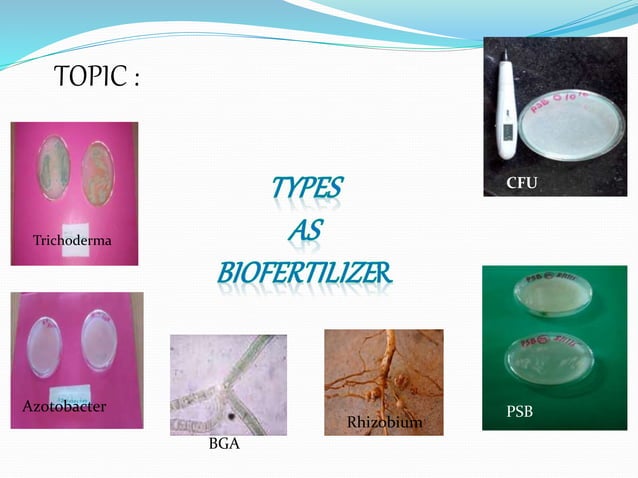 Types of biofertilizers | PPTX