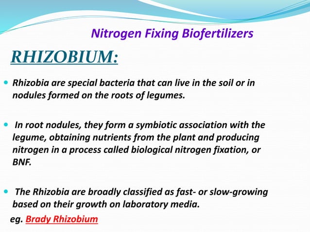 Types of biofertilizers | PPTX