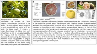 Types of biological information.pptx