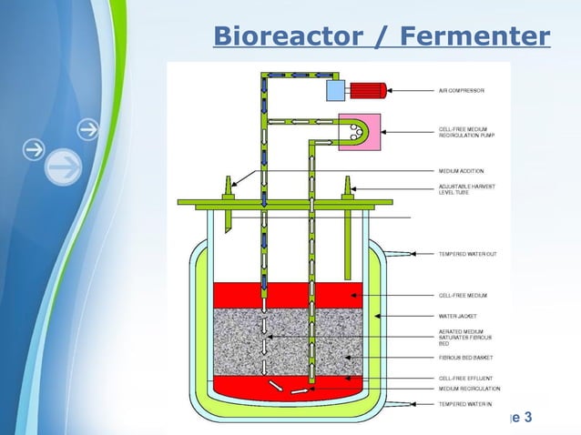 Types Of Bioreactor Slideshare - Design Talk