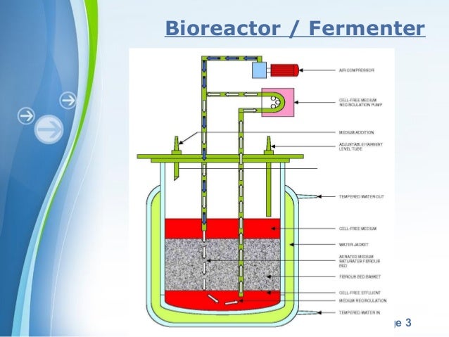 Types of Bioreactors / Fermenters
