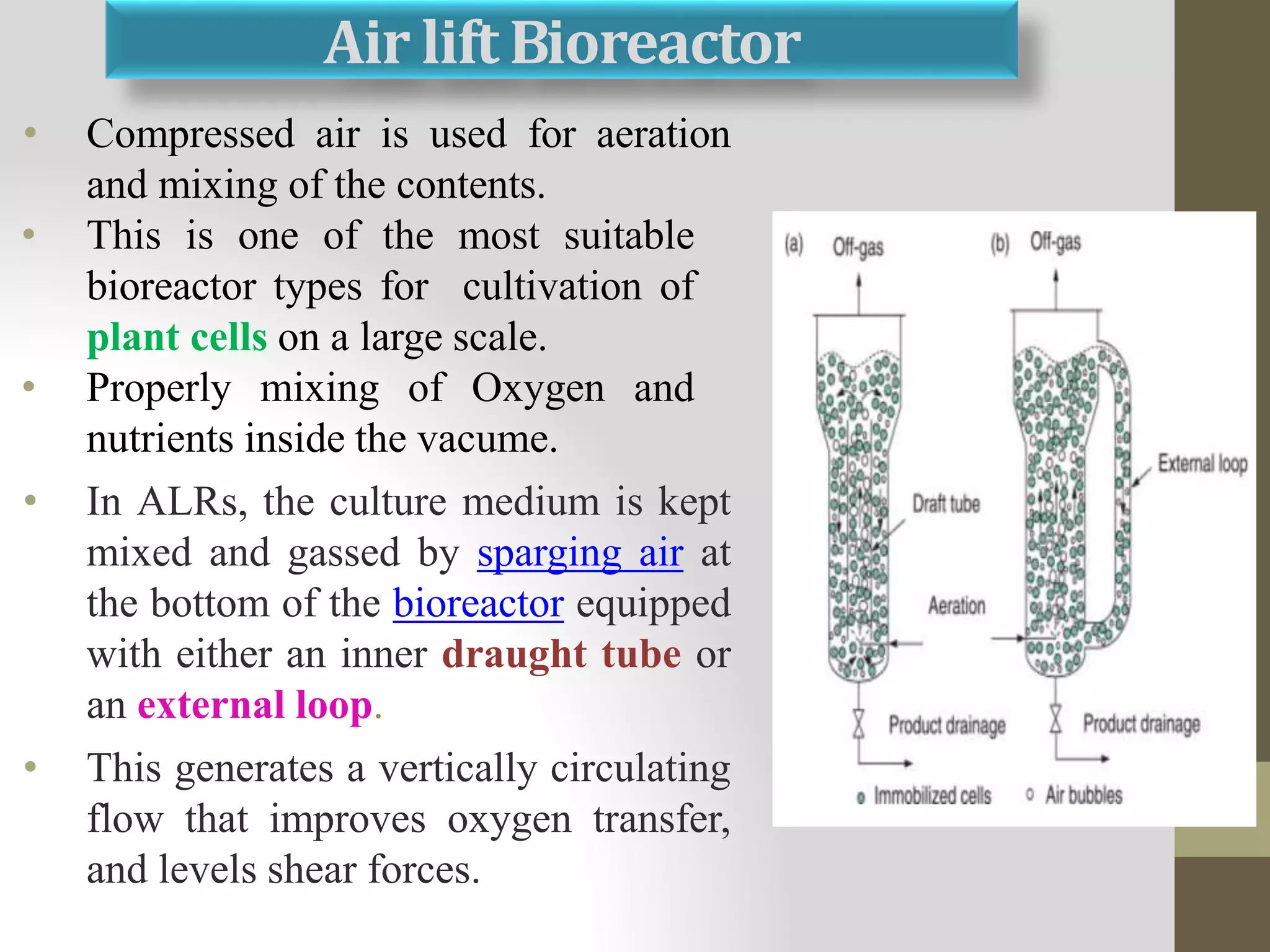 Types of Bioreactor | PPTX | Biotech and Biomedical Industry | Industries