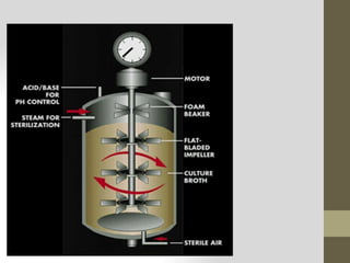 Types of Bioreactor | PPTX | Biotech and Biomedical Industry | Industries