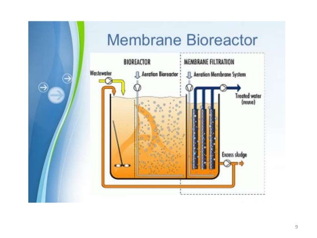 Types of bioreactors