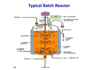 Bioreactor Types in Detail with Diagrams | PPT