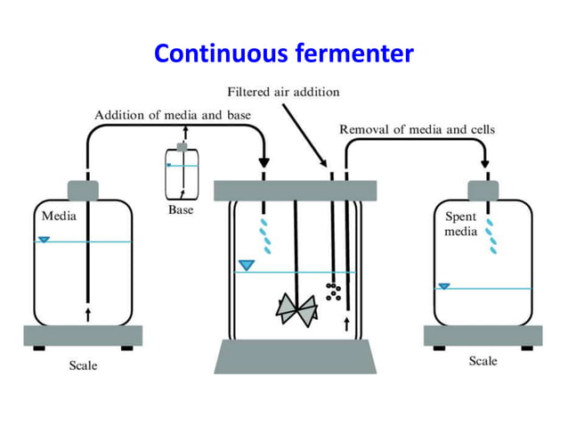 Bioreactor Types in Detail with Diagrams | PPT | Cooking | Food & Drink