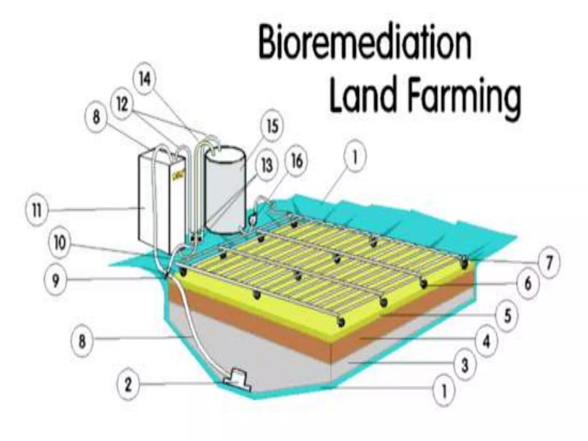 Types of bioremediation | PPTX