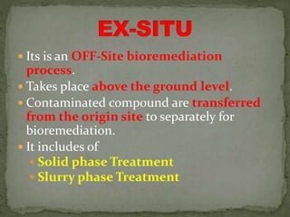 Types of bioremediation | PPTX