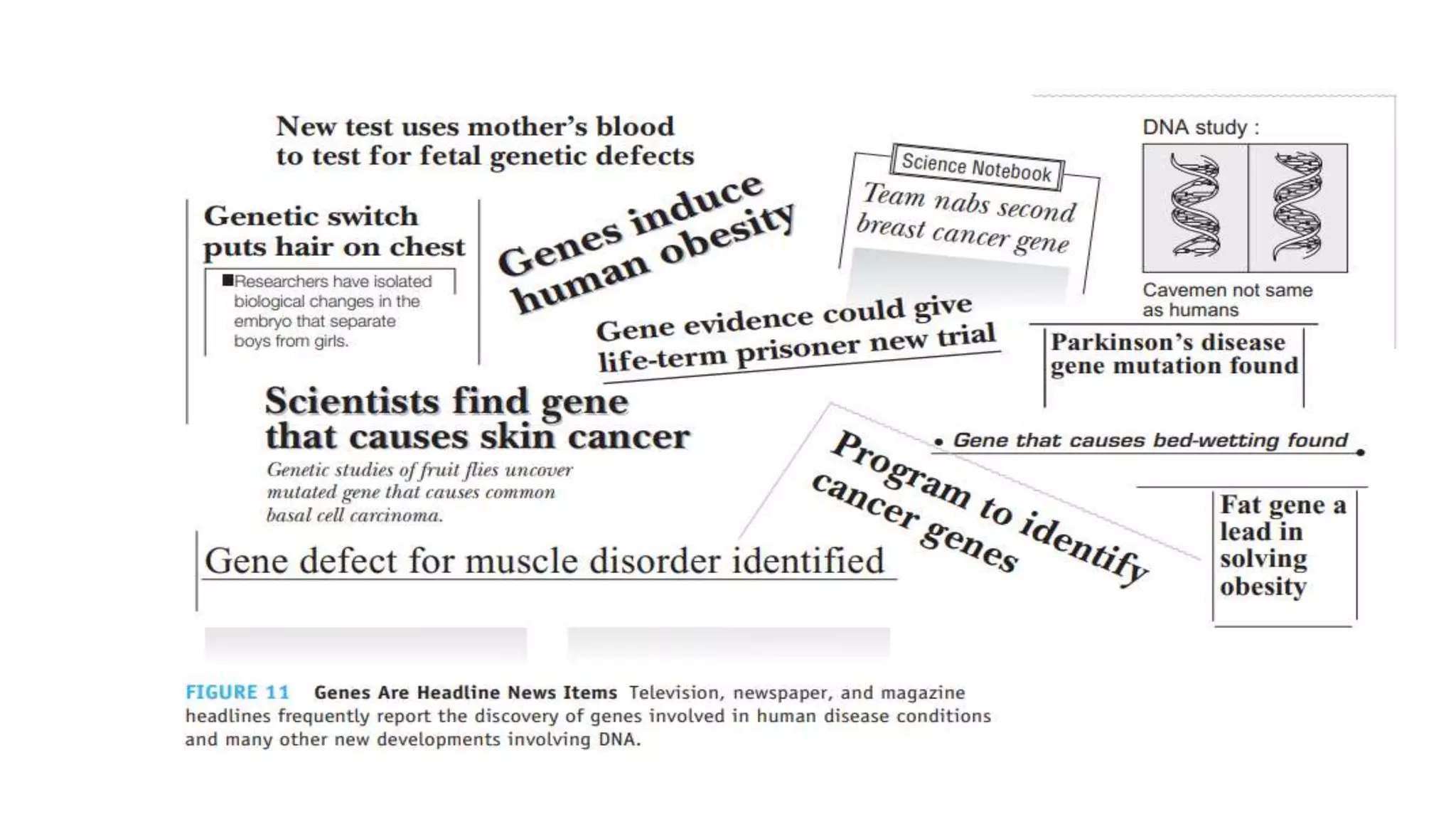 Types of Biotechnology (1).pptx