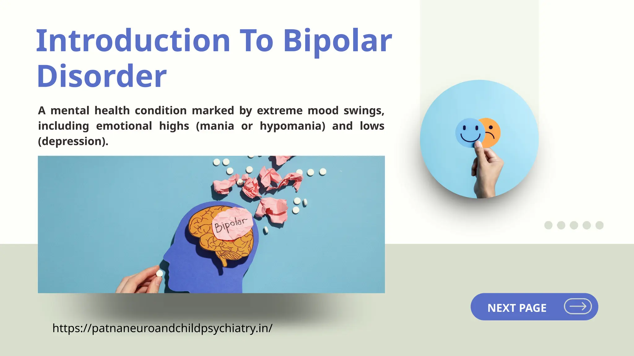 What Are The Most Common Types Of Bipolar Disorder: An Overview | PPT