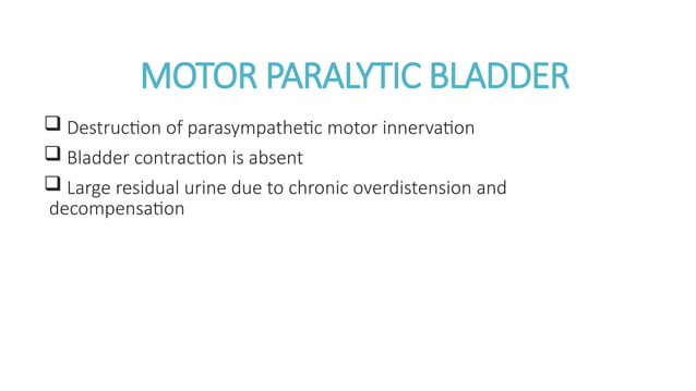 Various types of bladder dysfunction.pptx | Brain and Nervous System ...