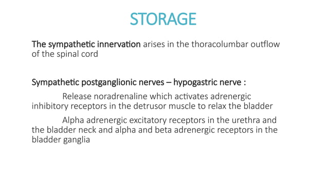 Various types of bladder dysfunction.pptx | Brain and Nervous System ...
