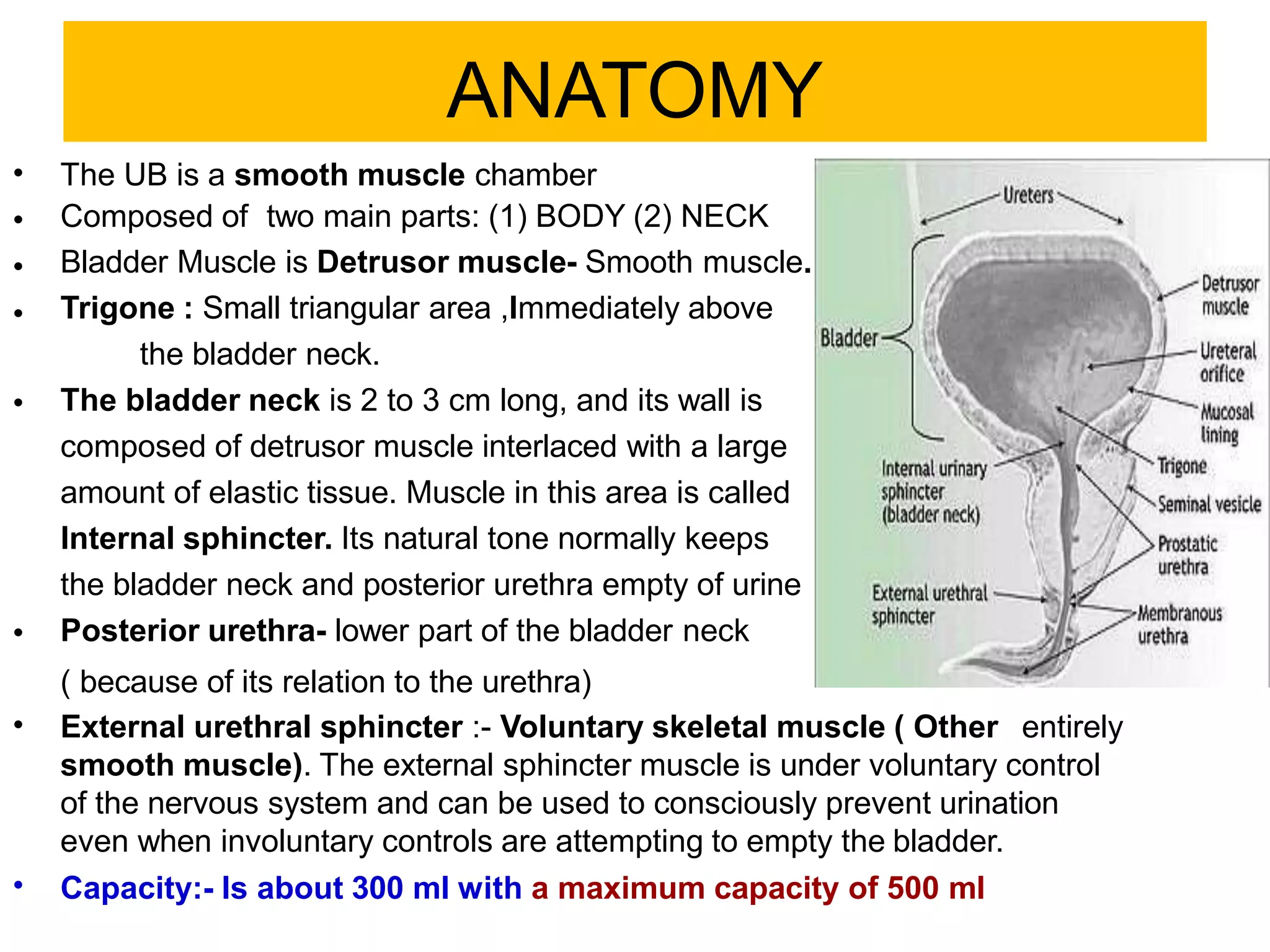 types of bladder final Dr Tarun.pptx