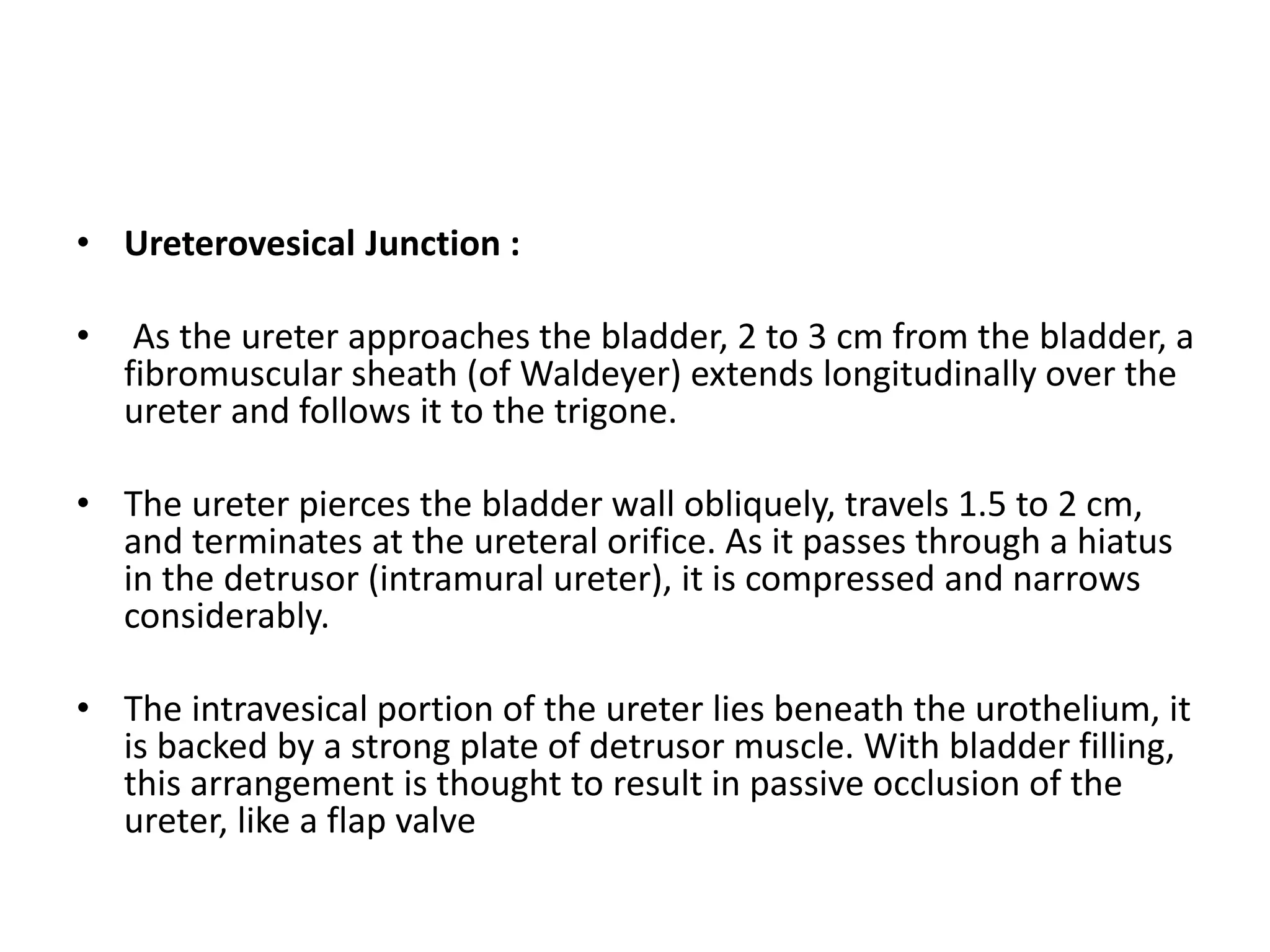 types of bladder final Dr Tarun.pptx