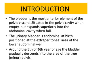 types of bladder final Dr Tarun.pptx