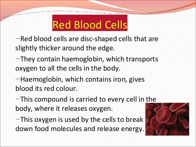 Types of blood cells