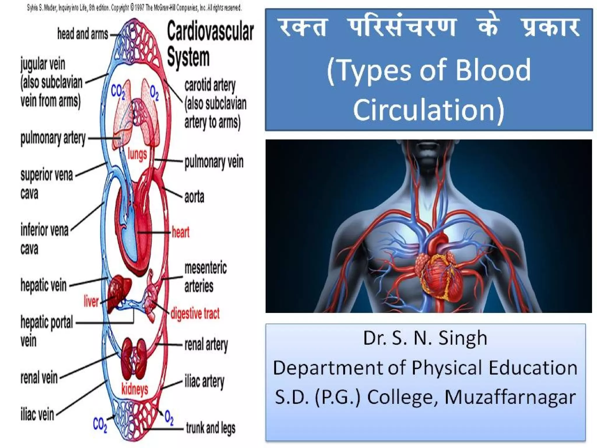 Types of blood circulation by Dr. S. N. Singh | PPT