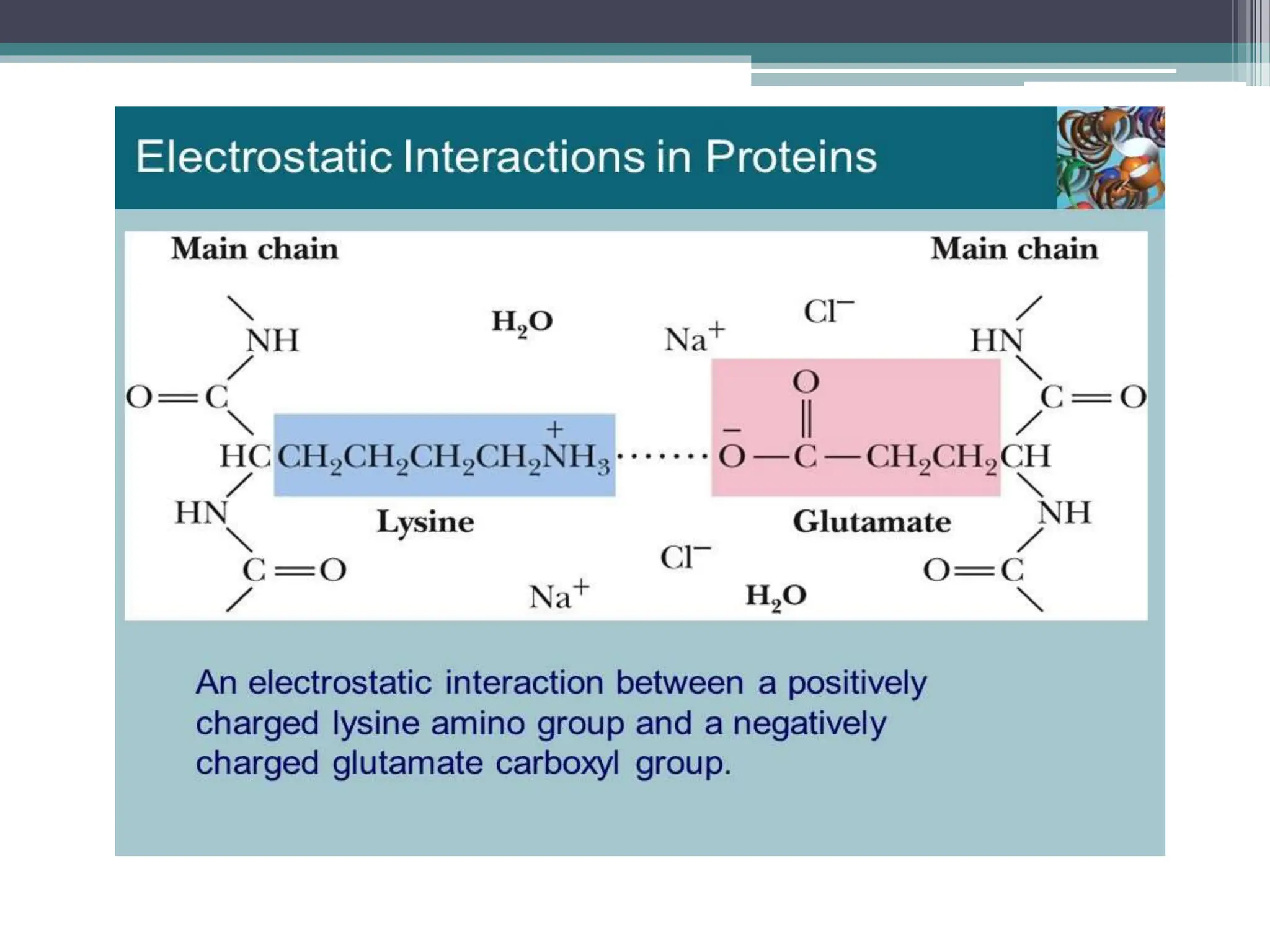 TYPES OF BONDs IN PROTEINS.ppt by UMNA FATIMA- BIOMEDx | PPTX