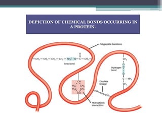 TYPES OF BONDs IN PROTEINS.ppt by UMNA FATIMA- BIOMEDx | PPTX