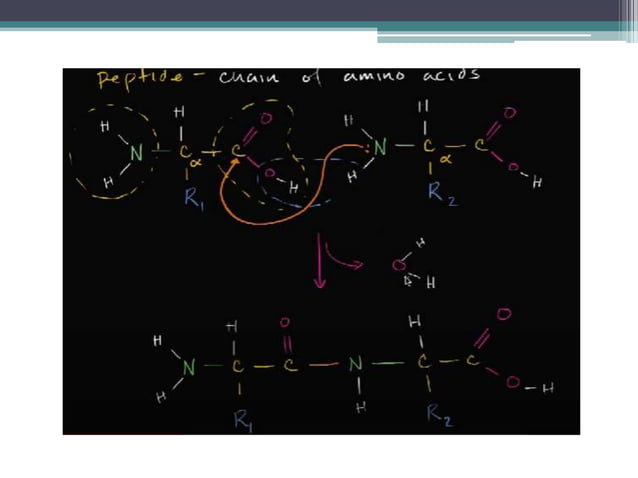 TYPES OF BONDs IN PROTEINS.ppt by UMNA FATIMA- BIOMEDx | PPTX