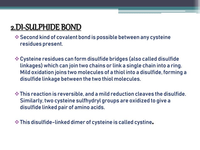 TYPES OF BONDs IN PROTEINS.ppt by UMNA FATIMA- BIOMEDx | PPTX