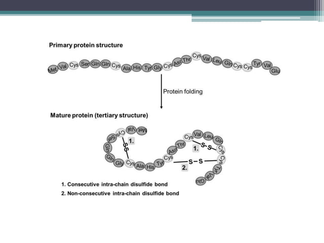 TYPES OF BONDs IN PROTEINS.ppt by UMNA FATIMA- BIOMEDx | PPTX