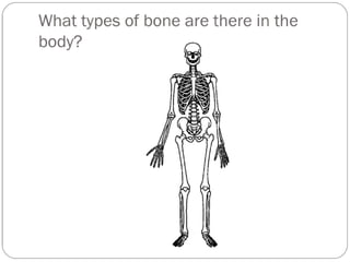 Types of bone | PPT