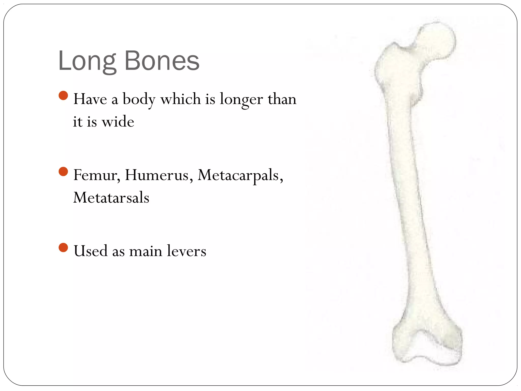 Types of bone | PPT