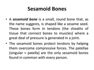 Types of bones | PPTX