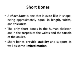 Types of bones | PPTX