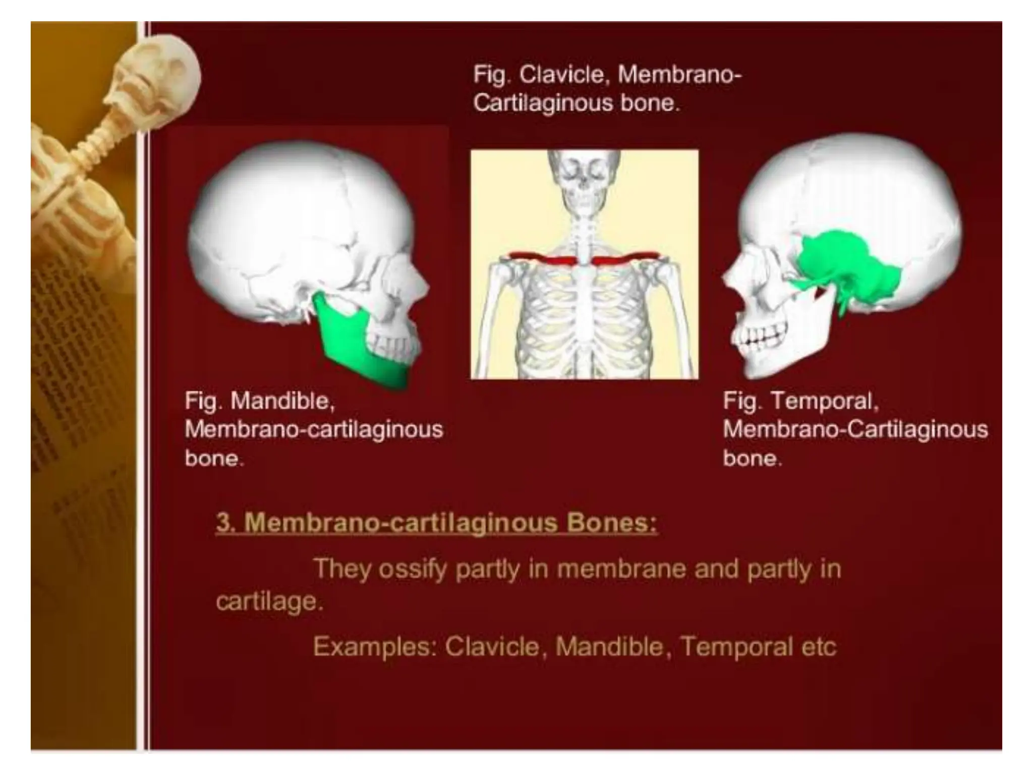Definition,Types and classification of bones.ppt