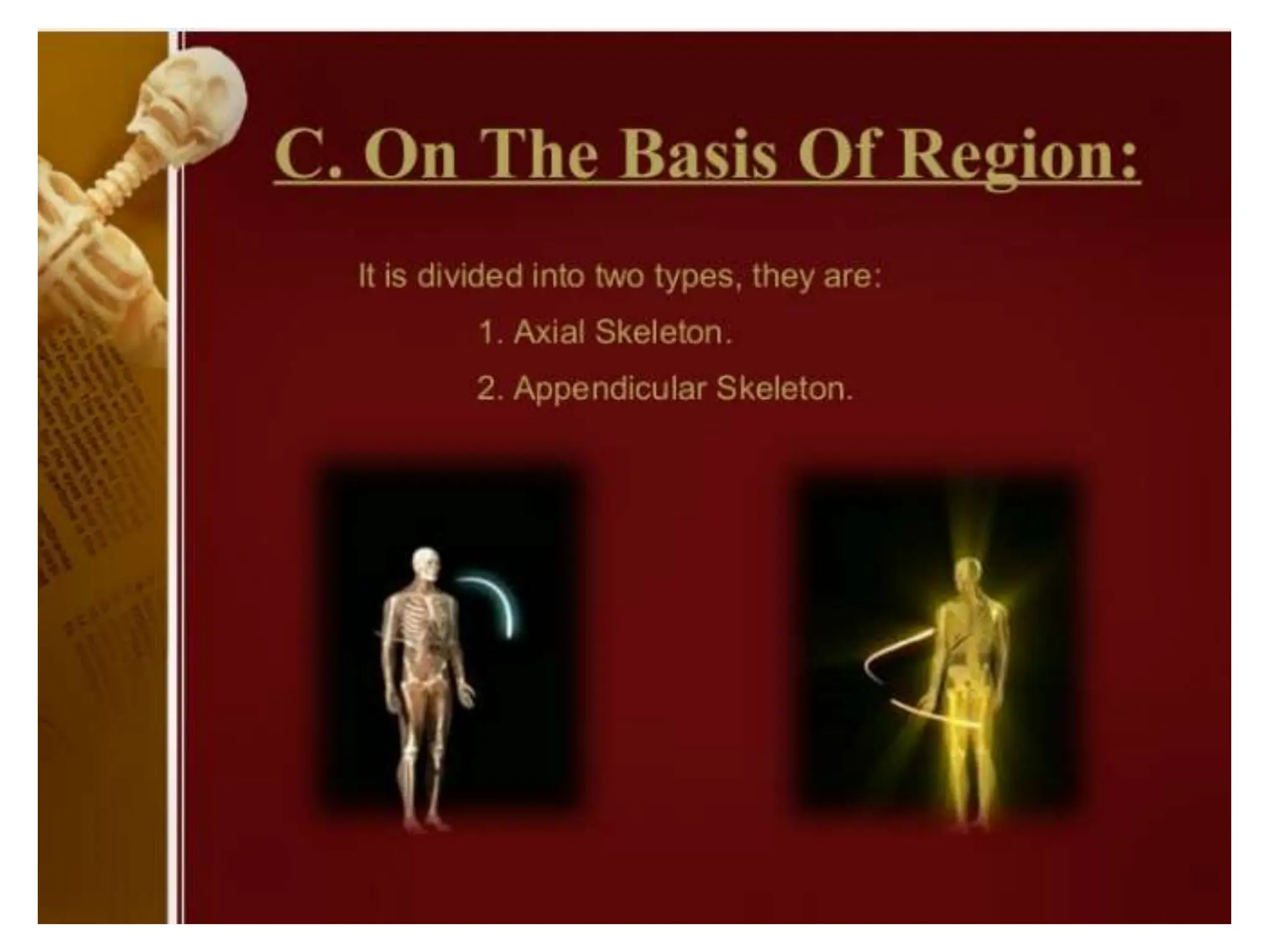 Definition,Types and classification of bones.ppt