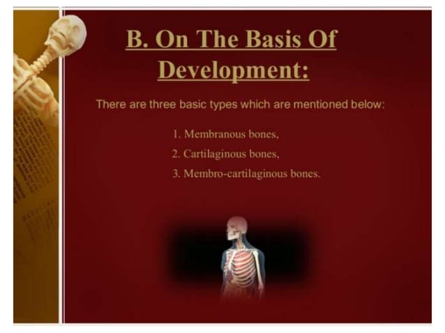 Definition,Types and classification of bones.ppt