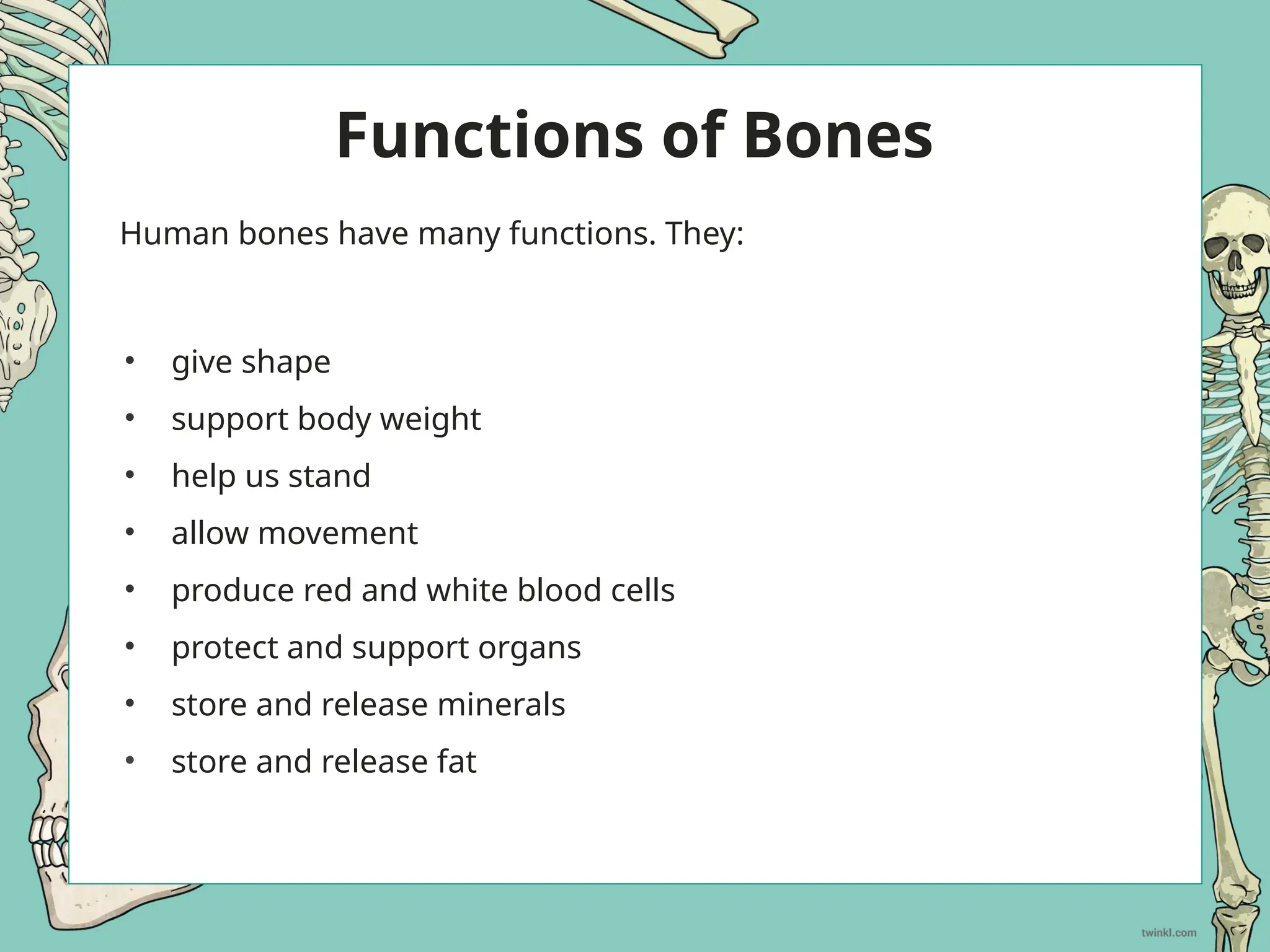 Types of Bones in the Human Body and to some living things.pptx