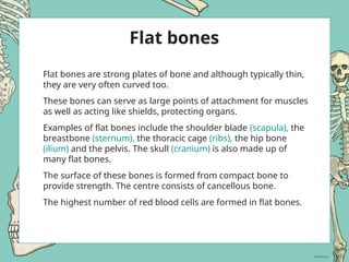 Types of Bones in the Human Body and to some living things.pptx